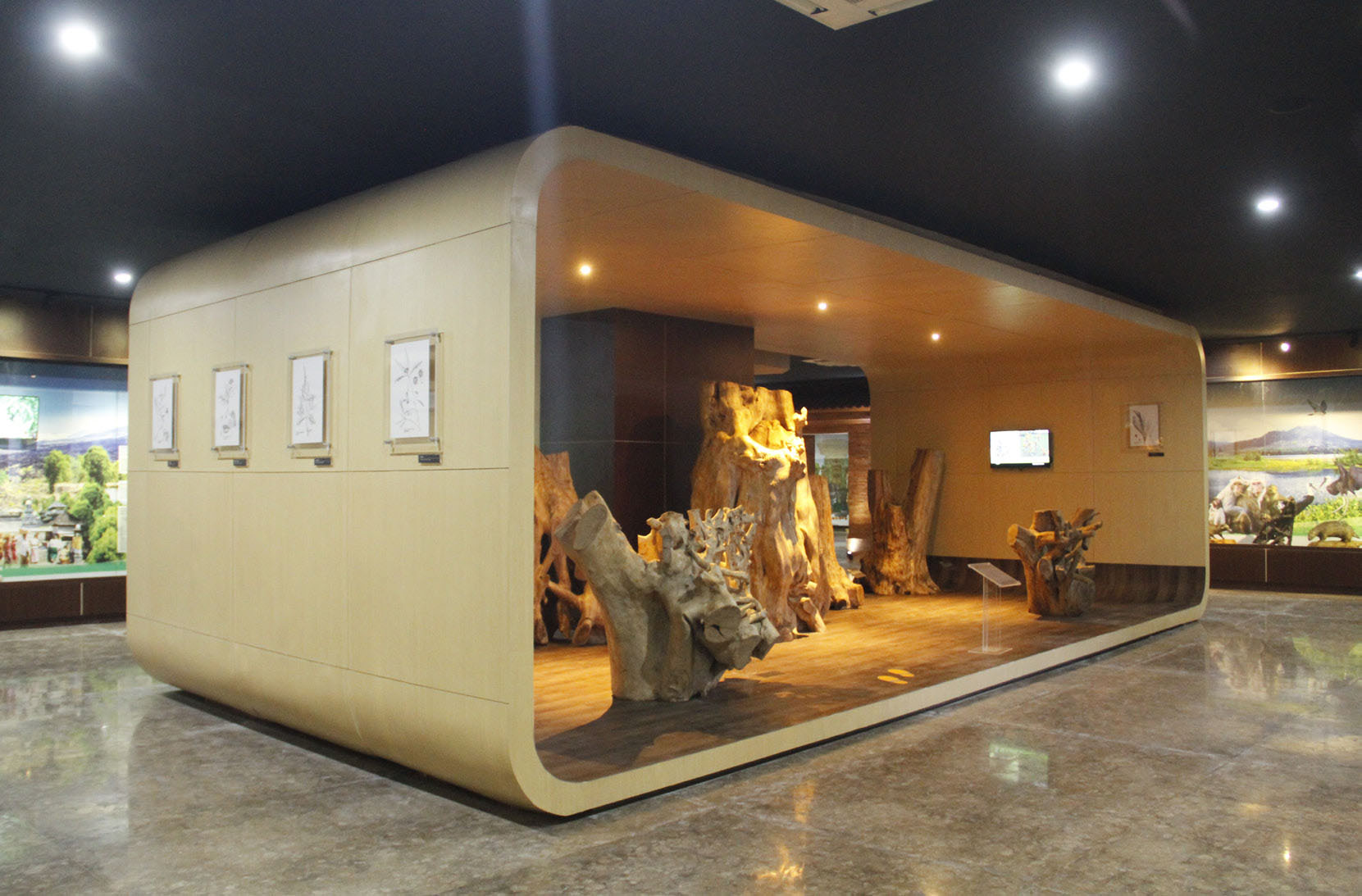 Holiday and Education in Batur Geopark Museum | Fast Boat from Bali to ...